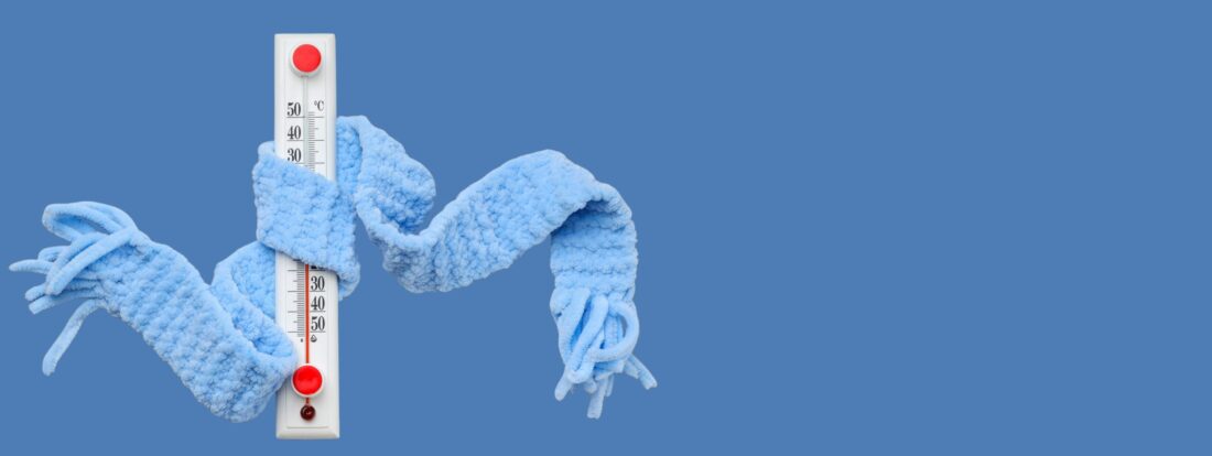 Lee County and its partners activate cold-weather outreach plan - North ...